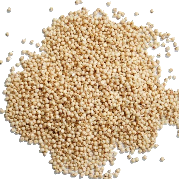 pearl-millet-trans - Smart Food